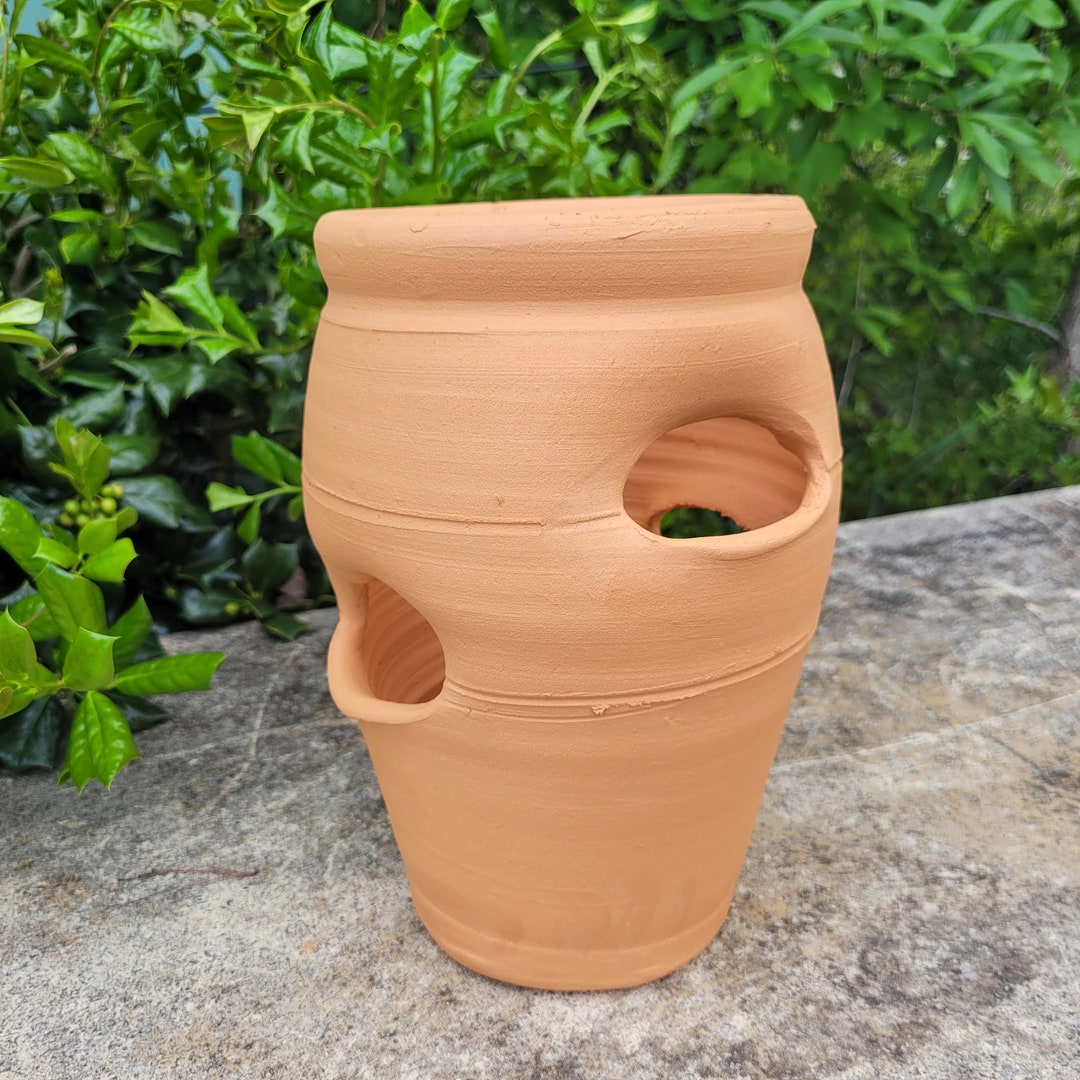 Craven Pottery 1 Gallon Strawberry Jar Herb Planter - Etsy