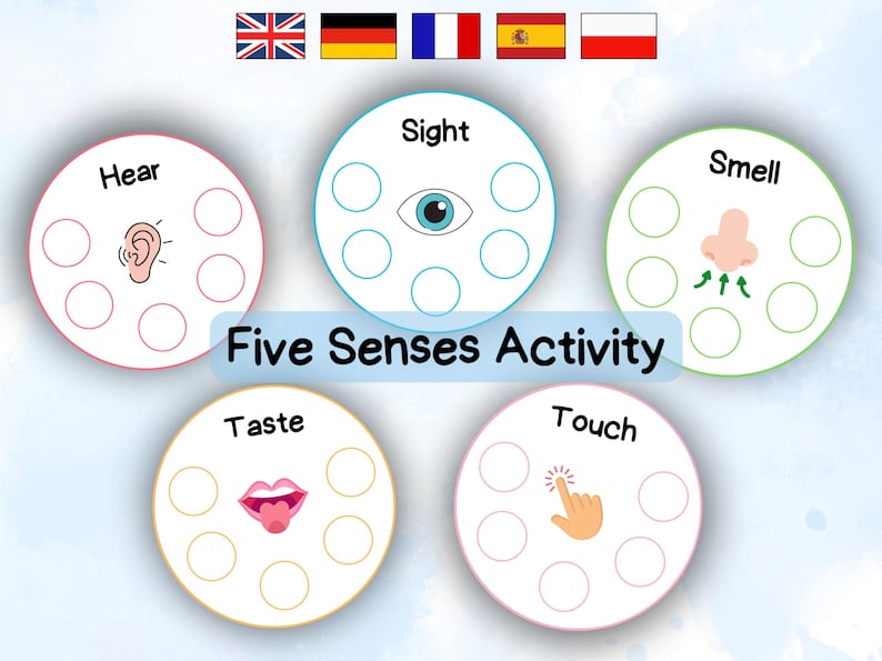 Five Senses Activity for Kids, Printable Sorting Activity, 5 Senses ...
