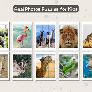 12 Pieces Puzzles for Kids, Animal Puzzles for Children, Printable ...