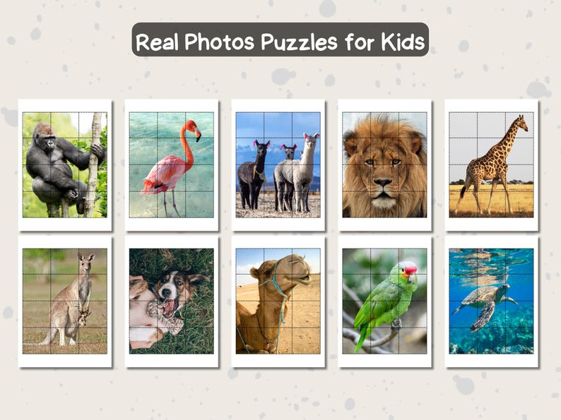 12 Pieces Puzzles for Kids, Animal Puzzles for Children, Printable ...