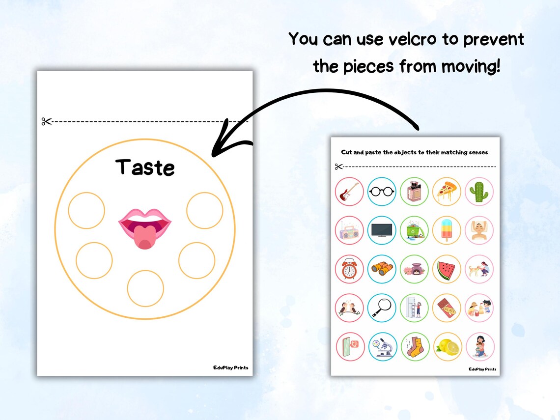 Five Senses Activity for Kids, Printable Sorting Activity, 5 Senses ...
