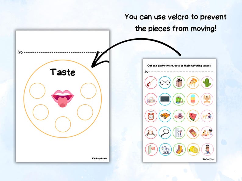Five Senses Activity for Kids, Printable Sorting Activity, 5 Senses ...