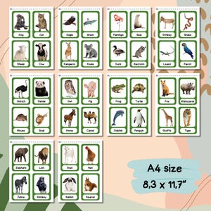 Printable Animal Flashcards for Kids, 40 Realistic Animals Flashcards ...