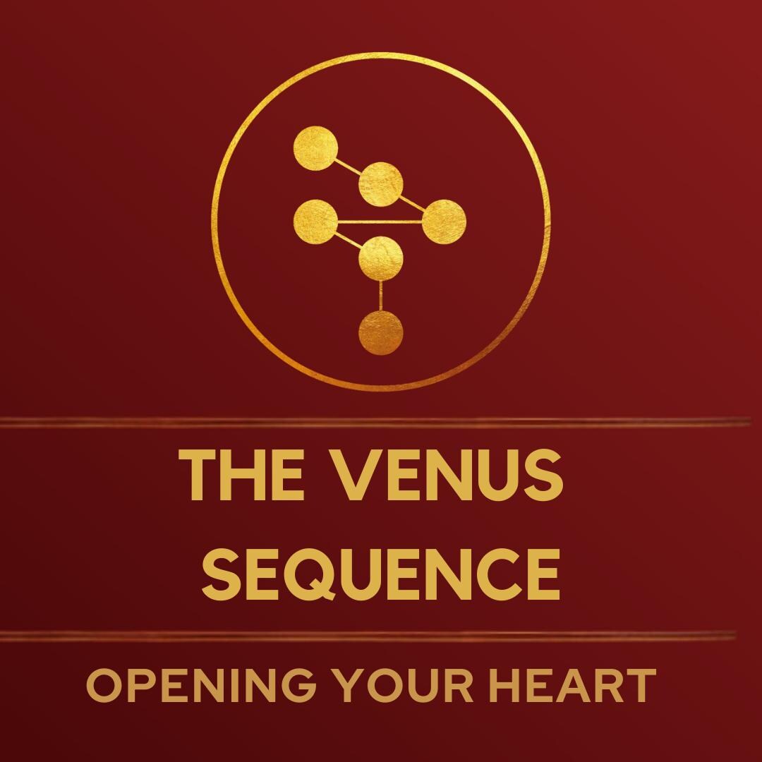 Unlock the Secrets to Heartfelt Connections With a Personalized Venus ...