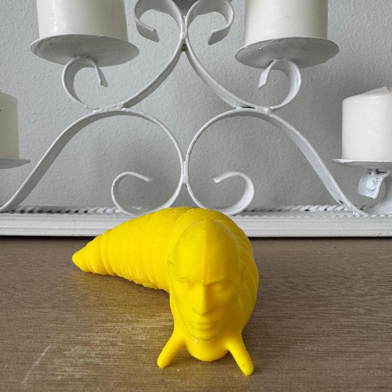 Fidget Slug - Etsy
