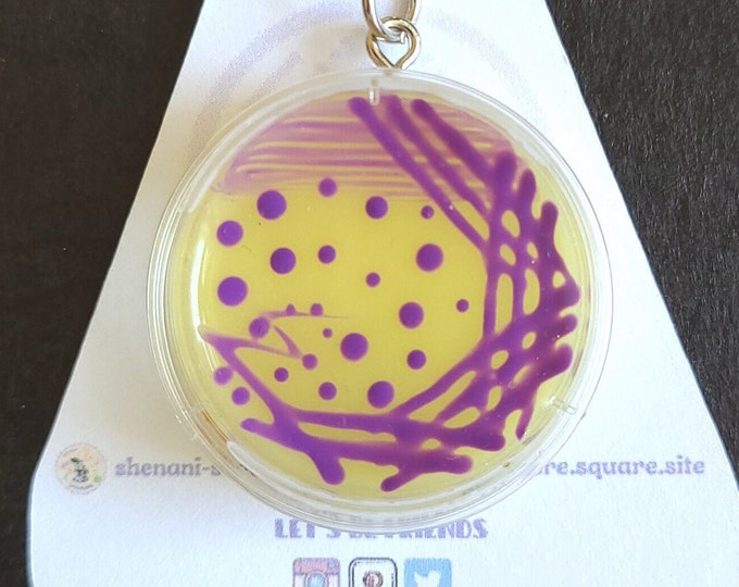 Salmonella Chromagar Petri Dish Keychain/badge Reel|mlt,mls,lab Tech Gifts|laboratory ...