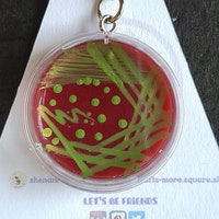 Germs in a Petri Dish Shaker Charm - Etsy
