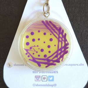 Salmonella Chromagar Petri Dish Keychain/badge Reel|mlt,mls,lab Tech ...