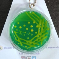 Handmade Petri Dish Keychain: Klebsiella Brilliance Agar, Microbiology ...