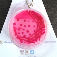 Microbiology Keychain Acrylic Shaker,bacteria Keychain, Gift for Lab ...