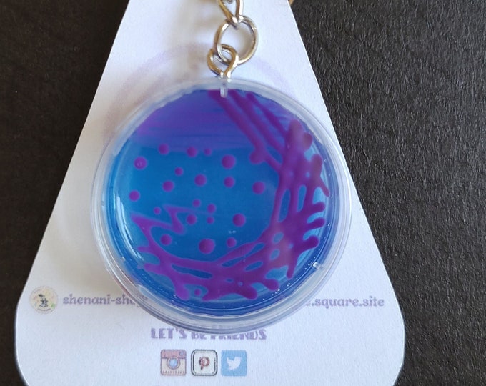 Serratia CLED Agar Petri Dish Keychain/badge Reel|mlt,mls,lab Tech Gifts|laboratory ...