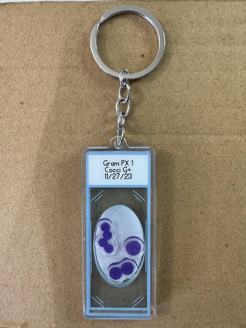 Gram Stain Slide Acrylic Keychain, Medical Lab Tech - Etsy