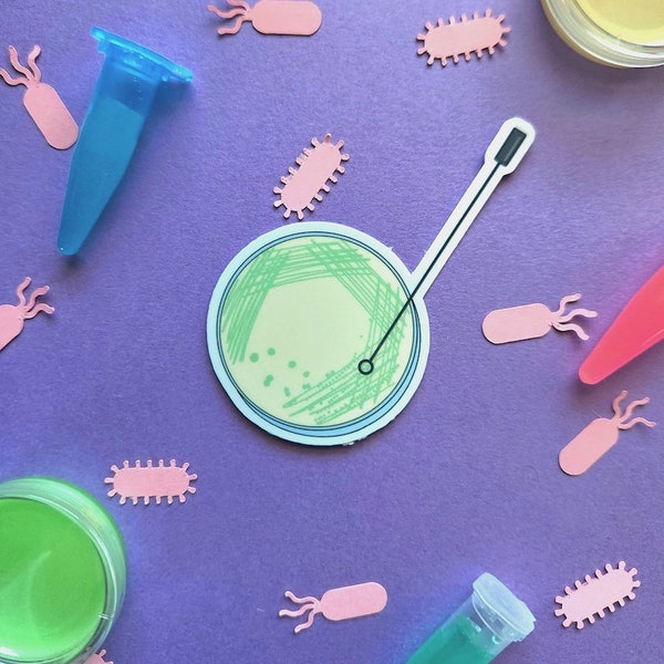 Dish Stickers - Etsy