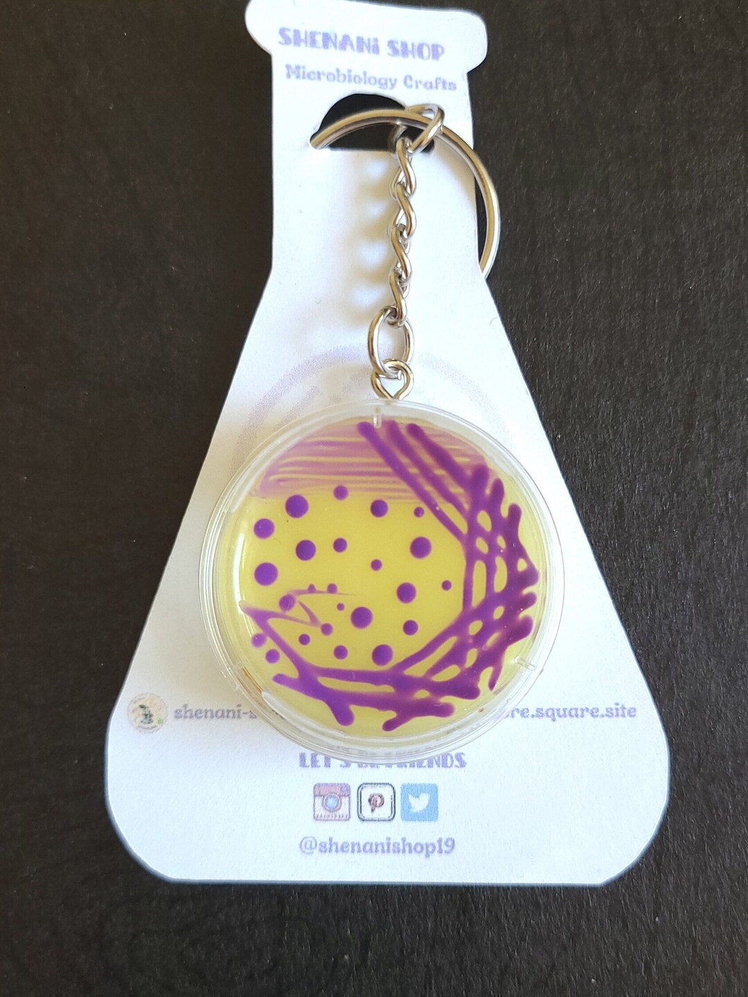 Salmonella Chromagar Petri Dish Keychain/badge Reel|mlt,mls,lab Tech Gifts|laboratory ...