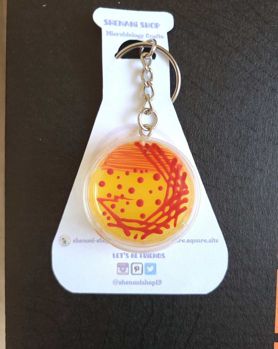 Enterococcus Petri Dish Keychain|petri Dish Badge Reel|microbiology ...