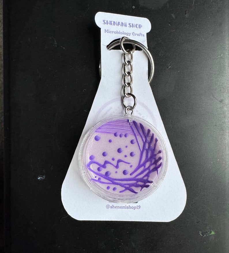 Handmade Microbiology Petri Dish Keychain: Lab Tech Gift - Etsy