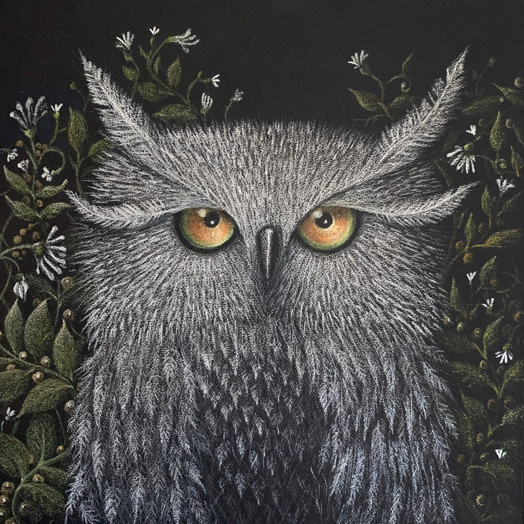 Hoo Are You? Hoohoo Hoohoo | ORIGINAL Colored Pencil Illustration - Etsy