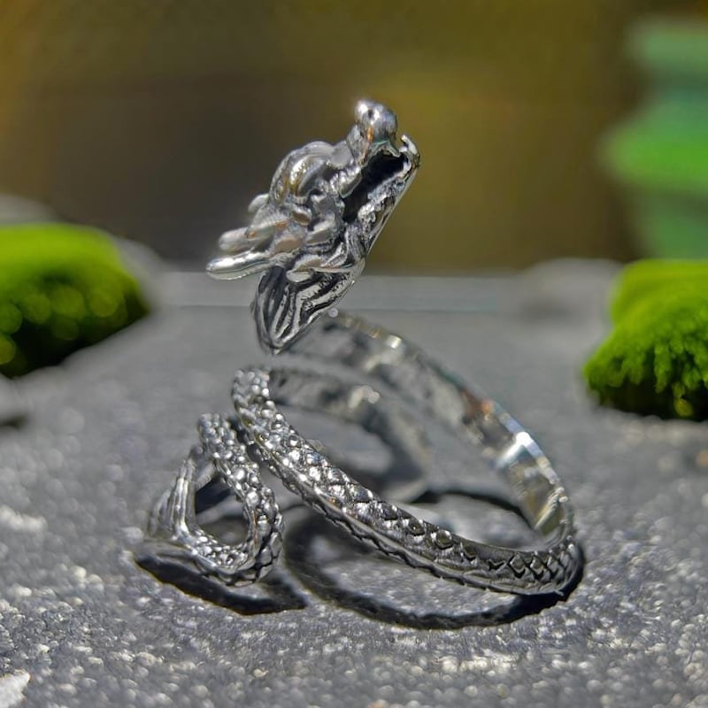 Dragon Rings for Men - Etsy