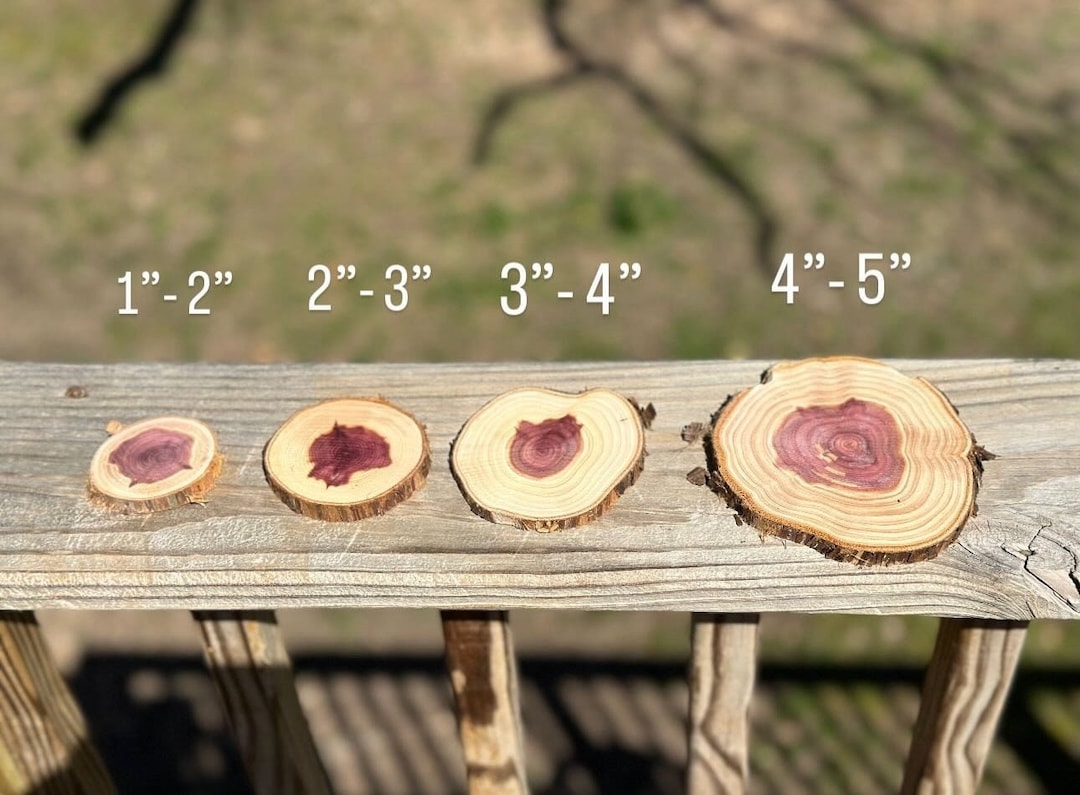 Set of 10 - Handmade Red Cedar Wood Rounds, Slices, Live Edge, Coasters ...