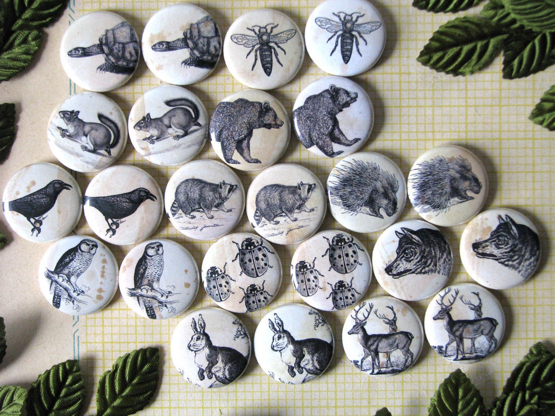 Forest Friends - Woodland Creatures - 1" Round Buttons or Magnets (set ...