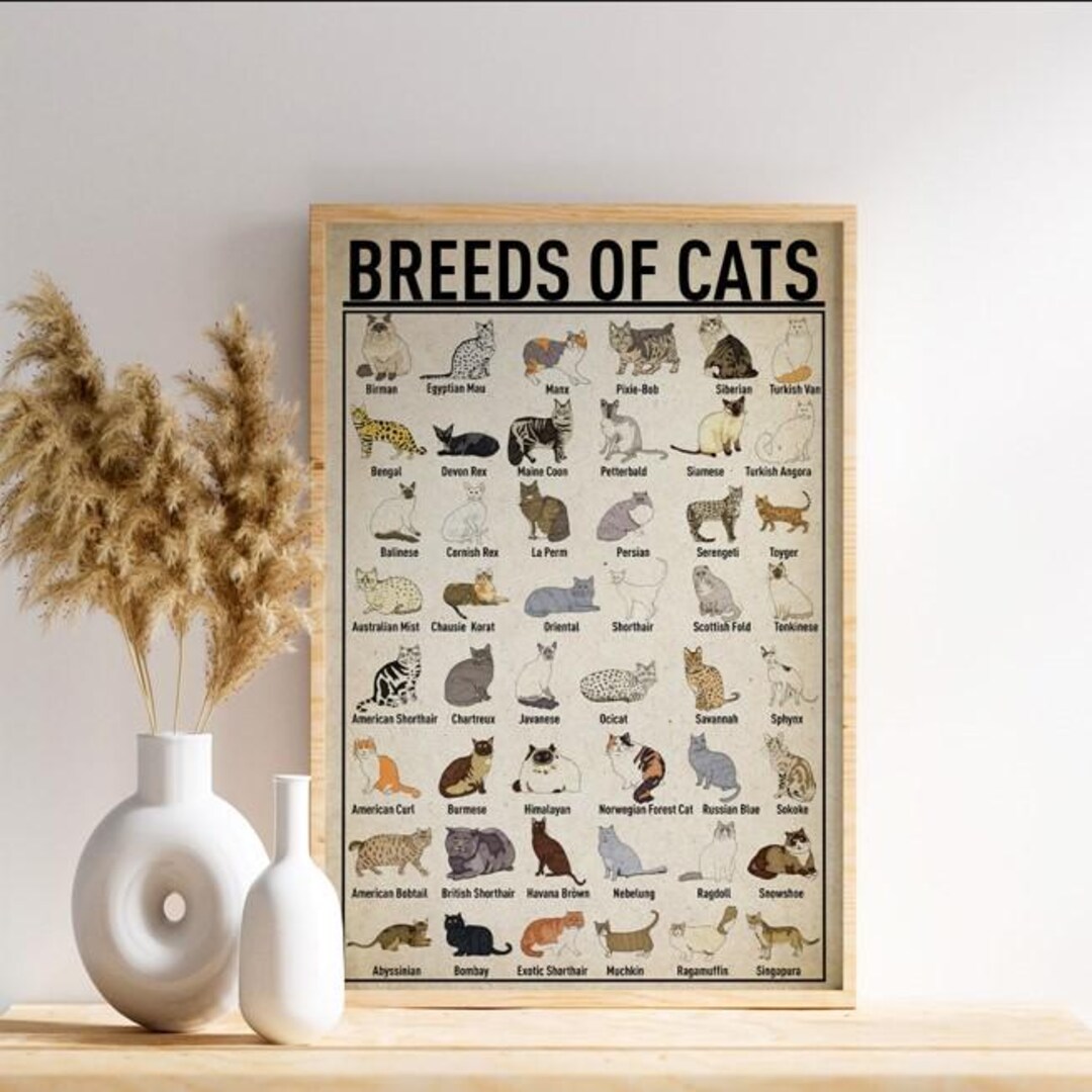 Cat Knowledge Poster, Types of Cats, Breeds of Cats Knowledge Wall ...