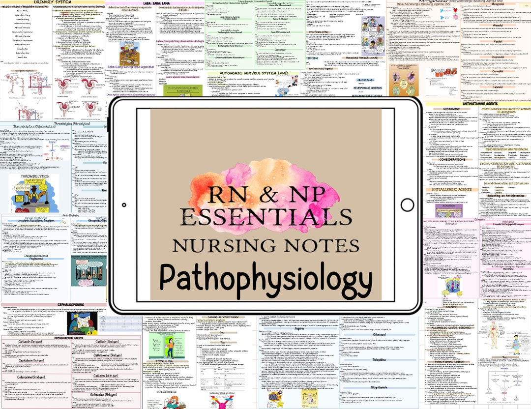 Reproductive System Pathophysiology RN & NP - Etsy