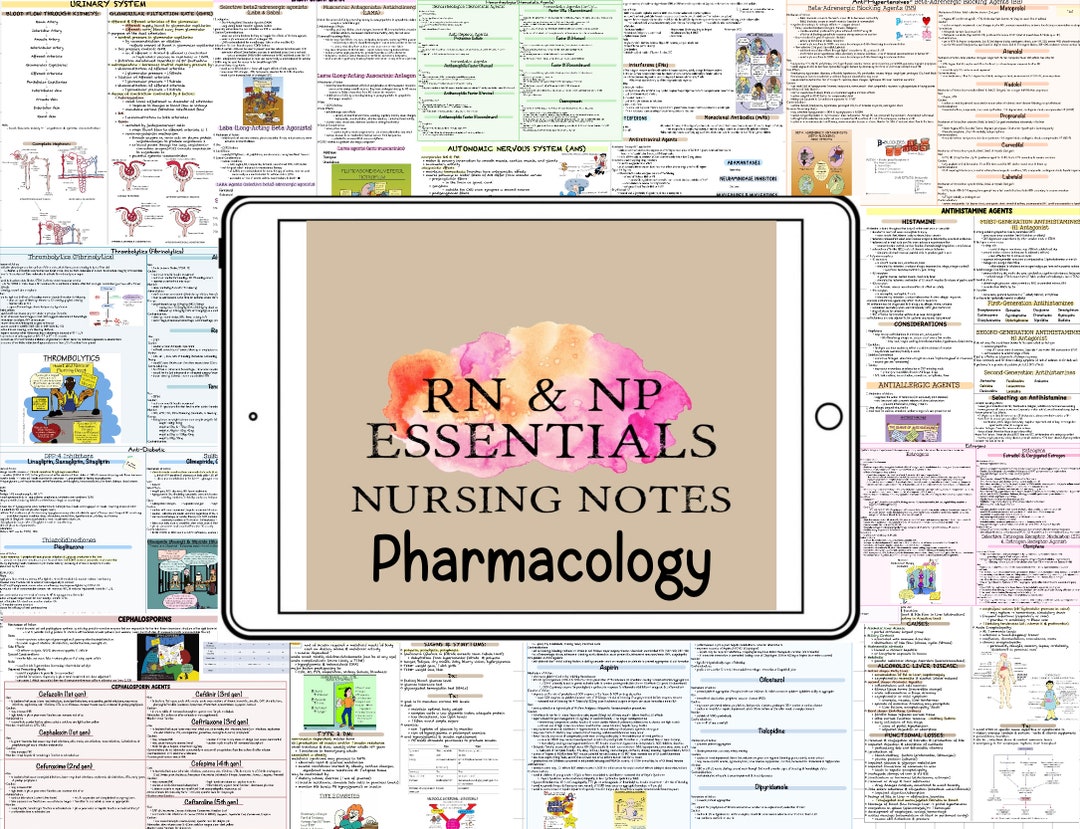 RN & NP Endocrine Pharmacology - Etsy