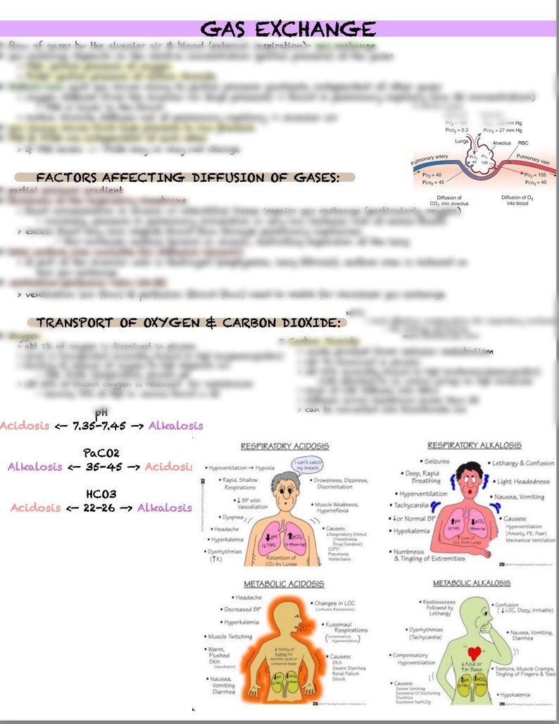 Respiratory System Pathophysiology RN & NP - Etsy