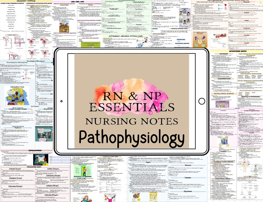 Respiratory System Pathophysiology RN & NP - Etsy