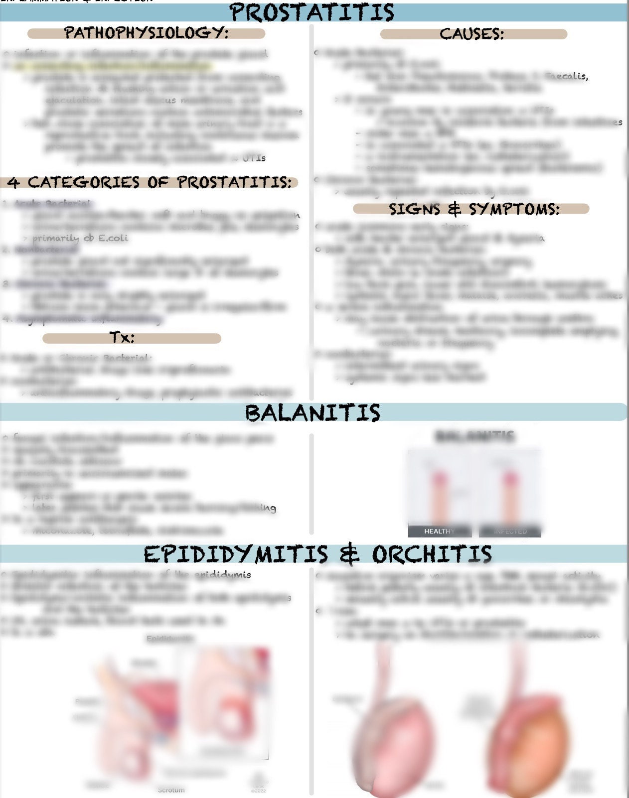 Reproductive System Pathophysiology RN & NP - Etsy