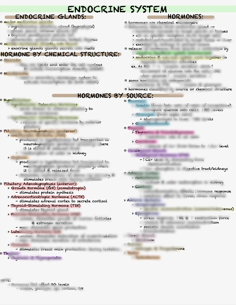 Endocrine System Pathophysiology (RN & NP) - Etsy