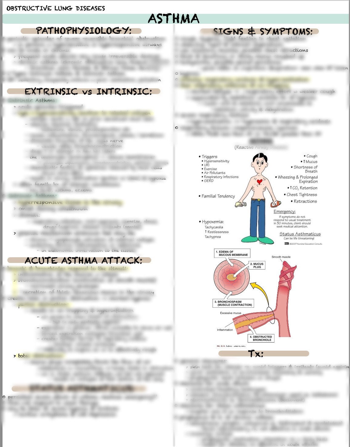 Respiratory System Pathophysiology RN & NP - Etsy