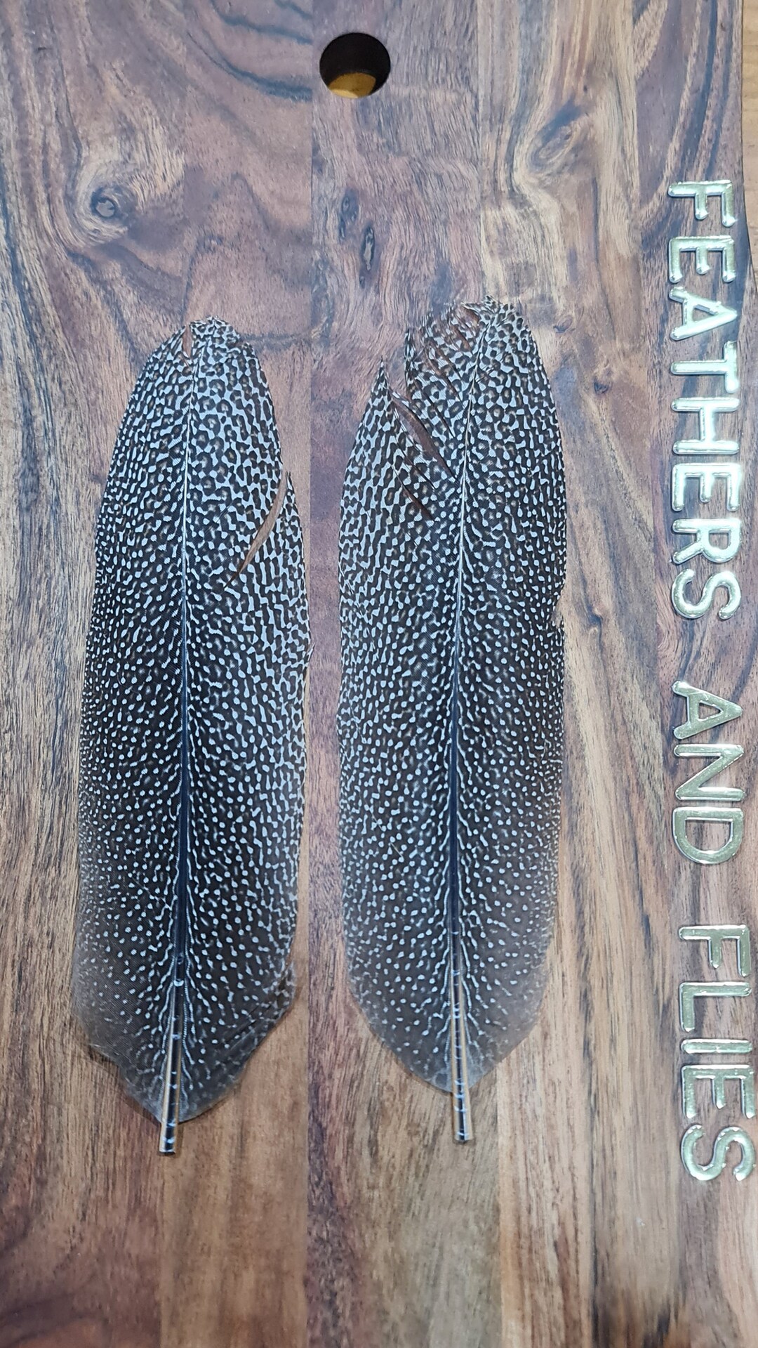 Pair of Great Argus Pheasant Feathers. - Etsy