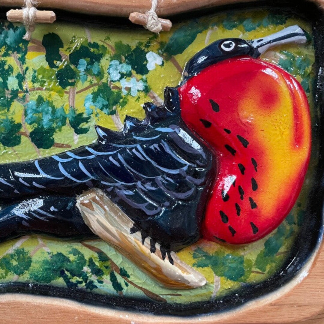 Red-breasted Frigatebird Wood Carving Unique Ecuadorian Artwork - Etsy