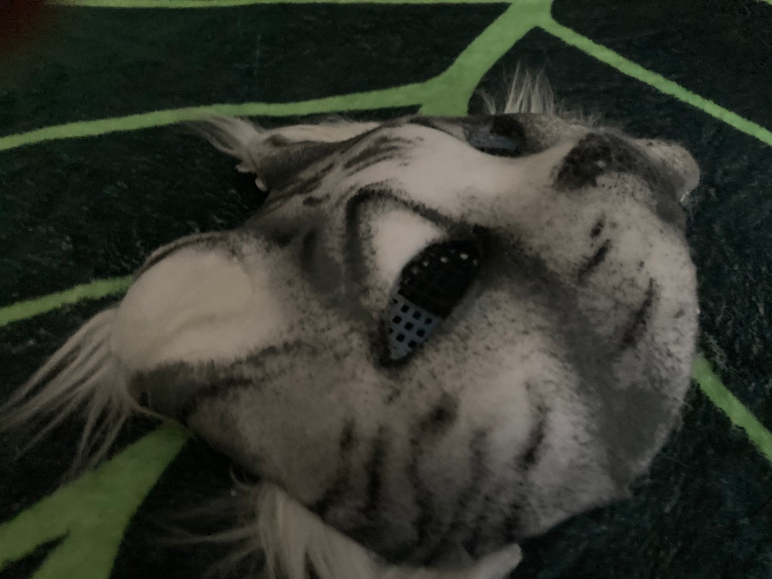 Snow Leopard Cat Mask - Etsy