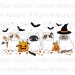 Halloween Ghost Cats PNG | Autumn Cats Witch Costume | Cute Spooky ...