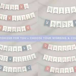 Silly Goose Banner Customized Goose Bunting Banner One Silly Goose ...