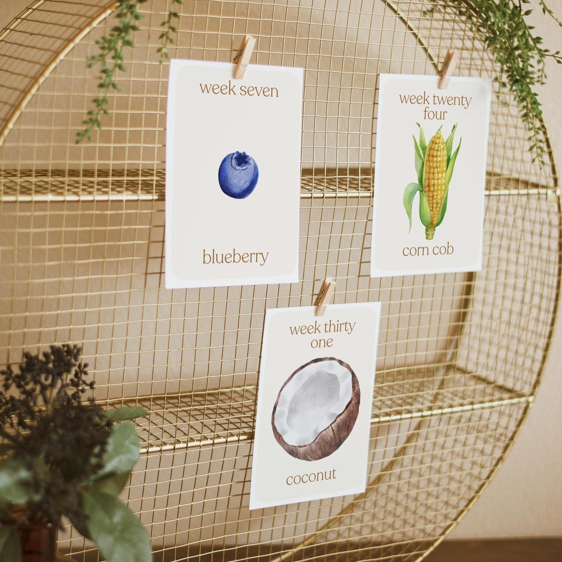 Fruit & Vegetable Pregnancy Milestone Cards, Track Baby's Growth ...