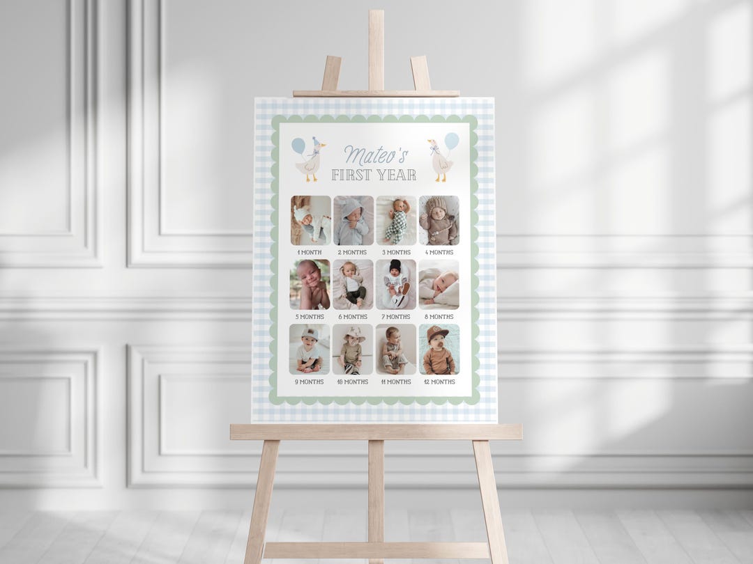 One Silly Goose 1st Birthday Photo Board | Gingham Geese First Year ...