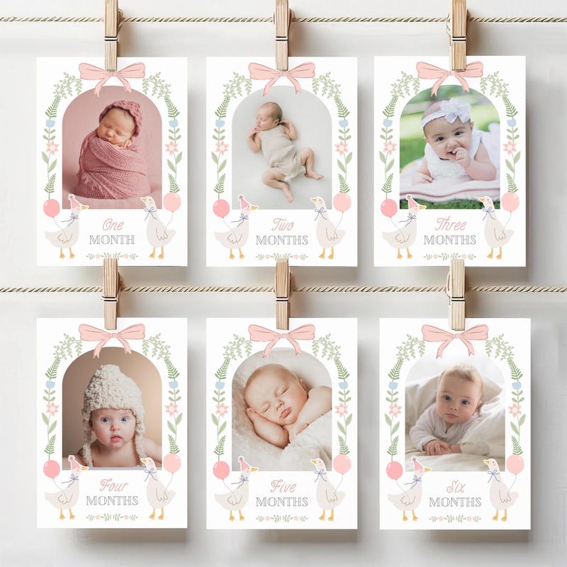 Silly Goose Baby Banner - Etsy