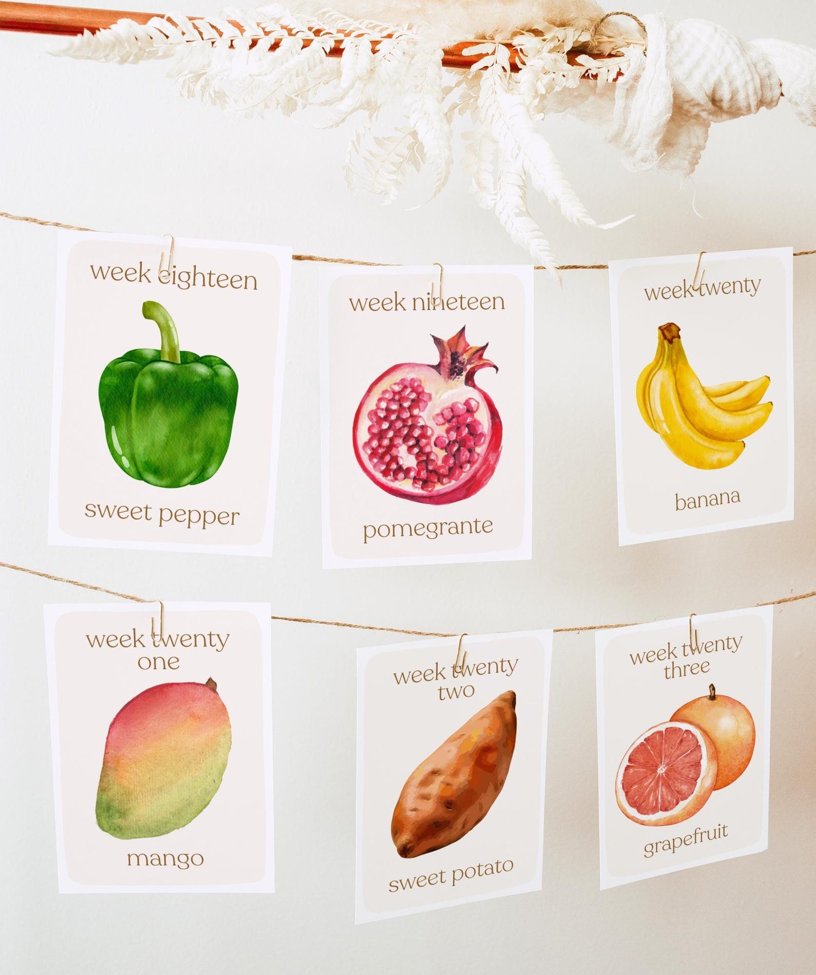 Fruit & Vegetable Pregnancy Milestone Cards, Track Baby's Growth ...