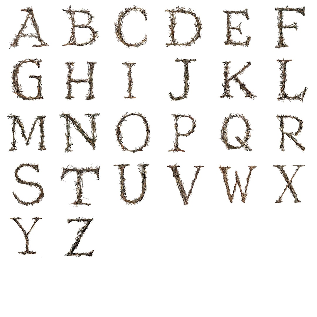 BRANCHES Alphabet, Digital Alphabet, 26 Letters, Clip Art - Etsy