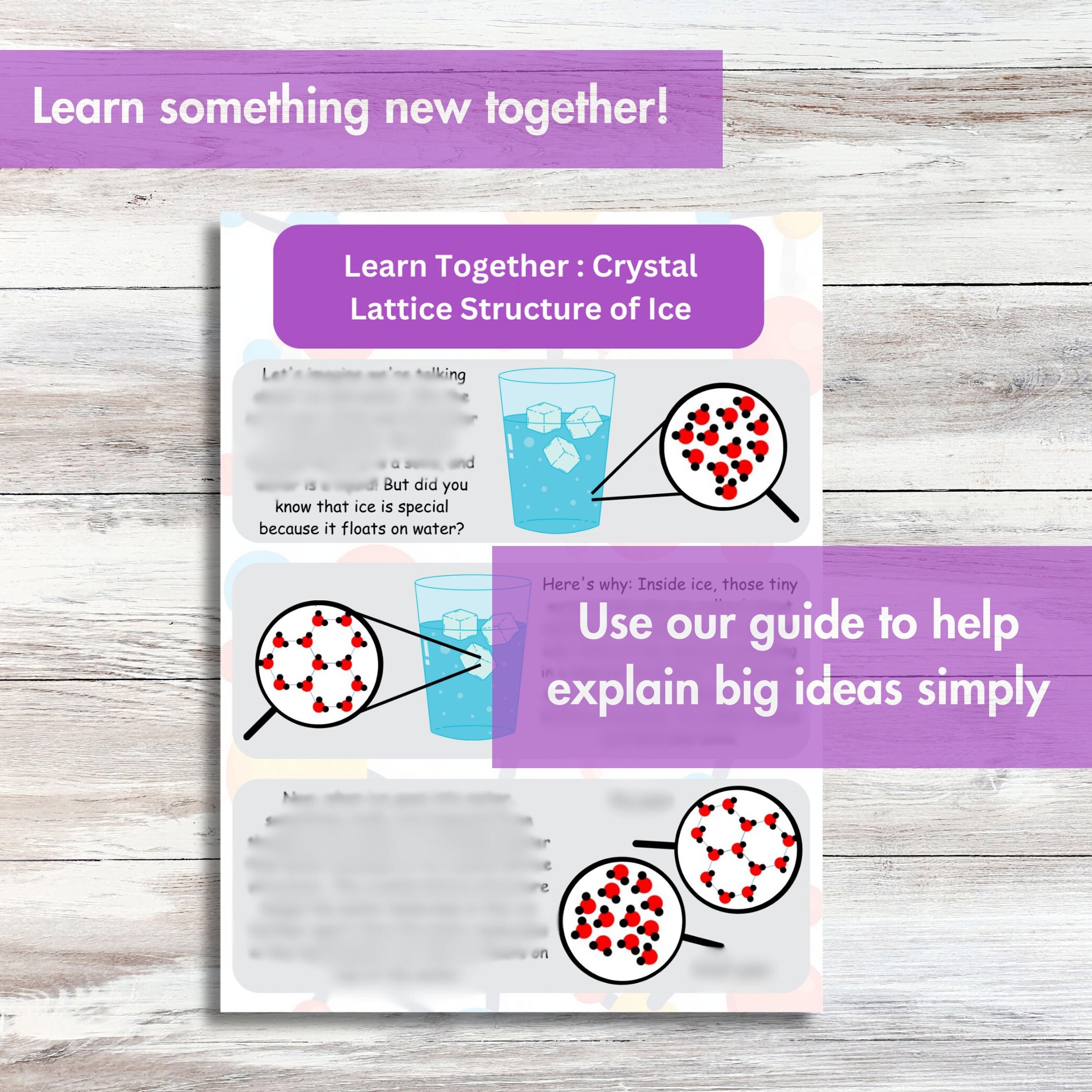 States of Matter Activity Printable Physics Teaching Aid Simple Science ...