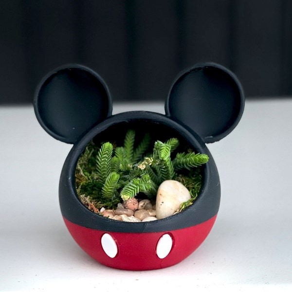 Mickey Mouse Planter - Etsy
