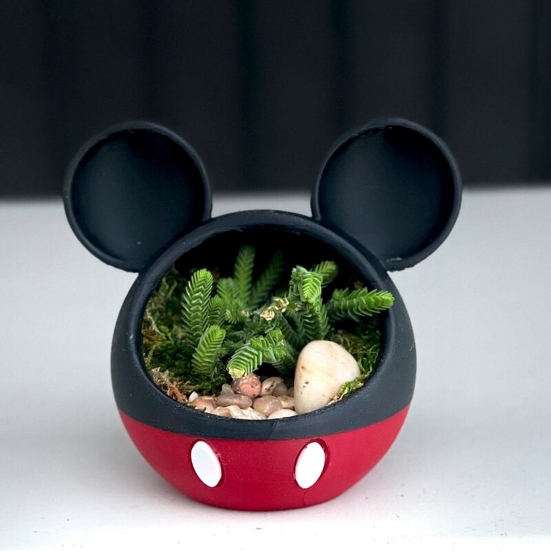 Mickey Mouse Planter - Etsy