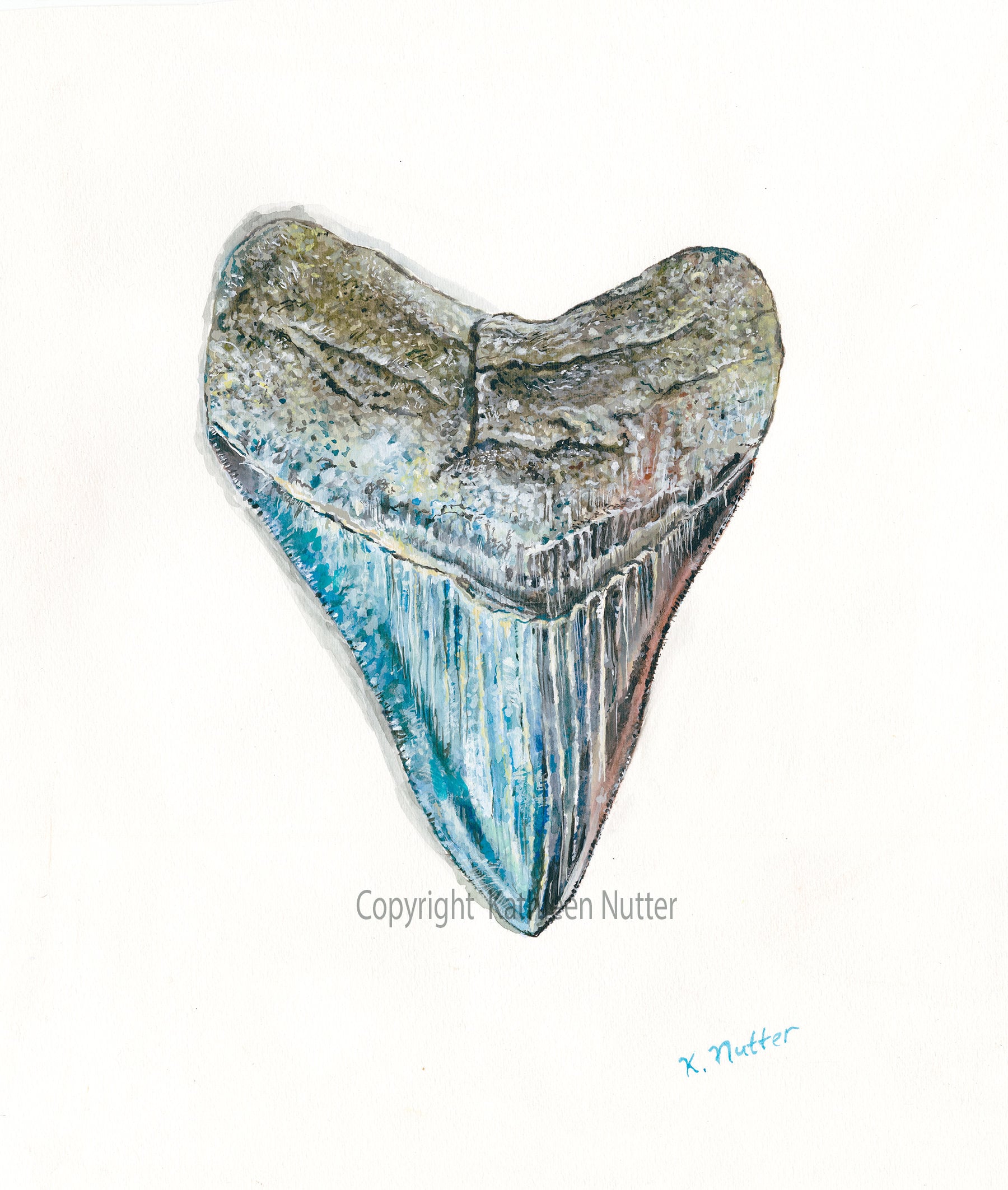 Megalodon Tooth, Signed Archival Print of Original Watercolor Painting ...