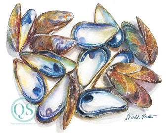 Cape Cod Jingle Shells Print of a Watercolor by Damon Crook - Etsy
