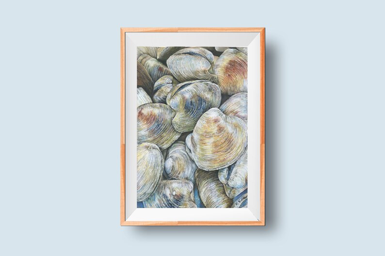 Clam Shells, Coastal Art From an Original Watercolor Painting ...