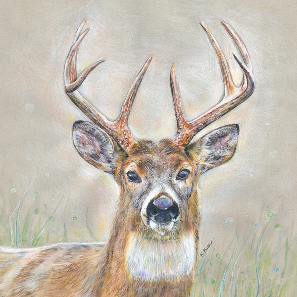 Deer Art - Etsy