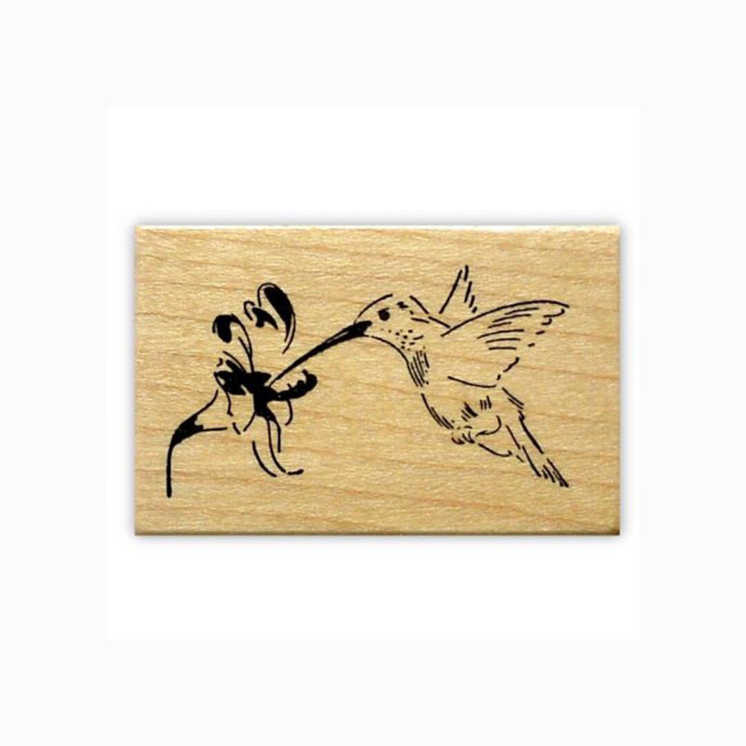 Hummingbird Mounted Rubber Stamp, Humming Bird, Summer, Flower, Bird ...